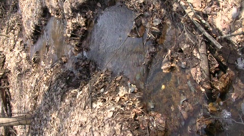 Spring purling stream running through the ravine bottom [43522669]の動画素材 ...