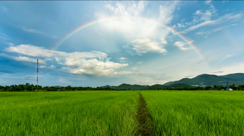 Time lapse - rainbow over rice field (Zoom_in) [46335756]の動画素材 - アフロ